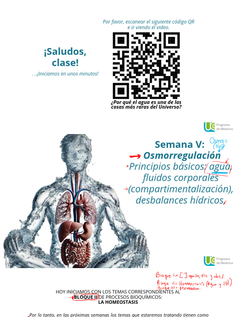 (GRUPO C) Semana V. Procesos Bioquímicos 2 | PDF | Homeostasis | Agua