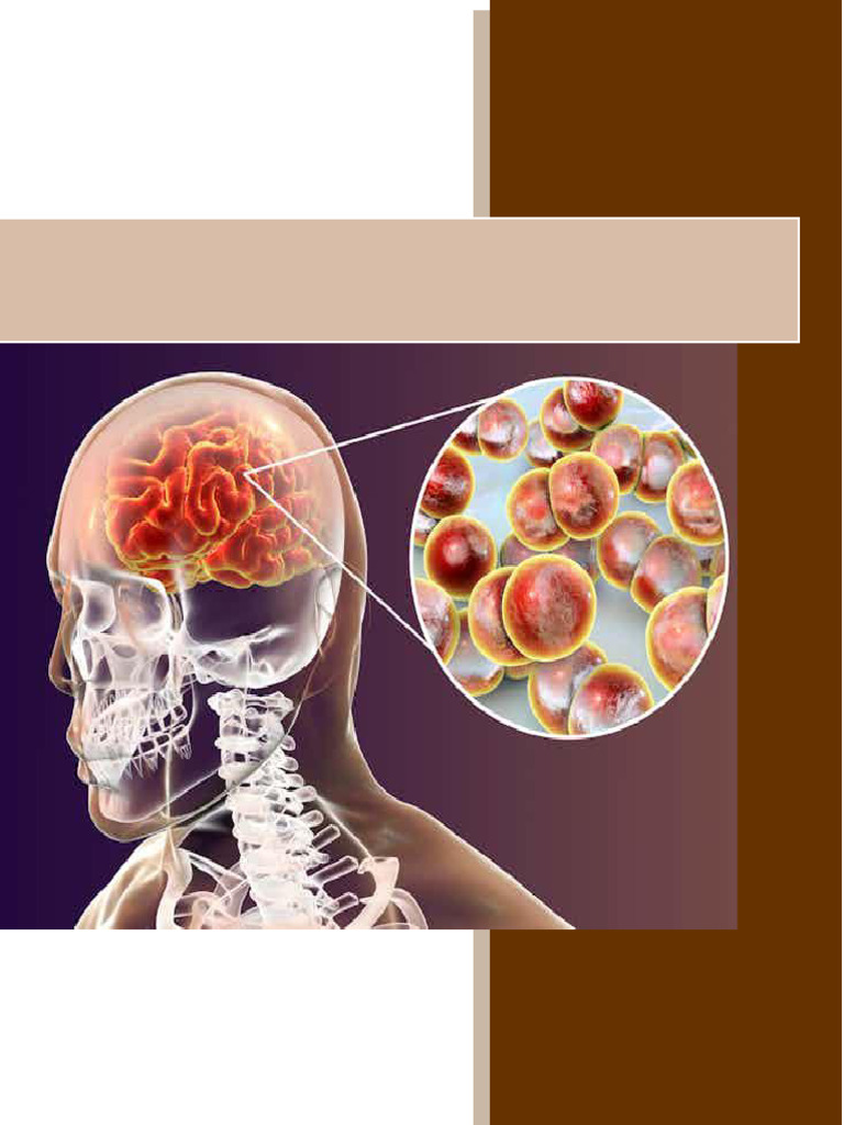M. Bacteriana - Trabajo Final | PDF | Meningitis | Microbiología
