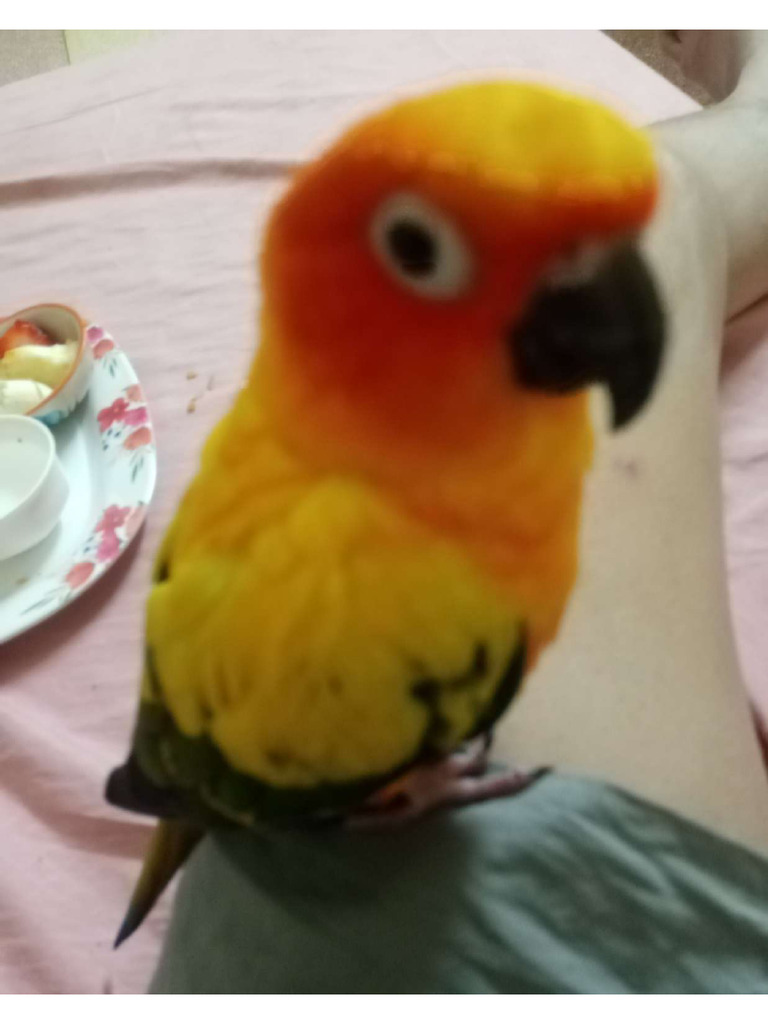 IMG_20250323_224735 | PDF