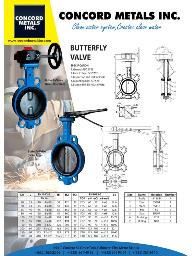 Check Valve Specification | PDF