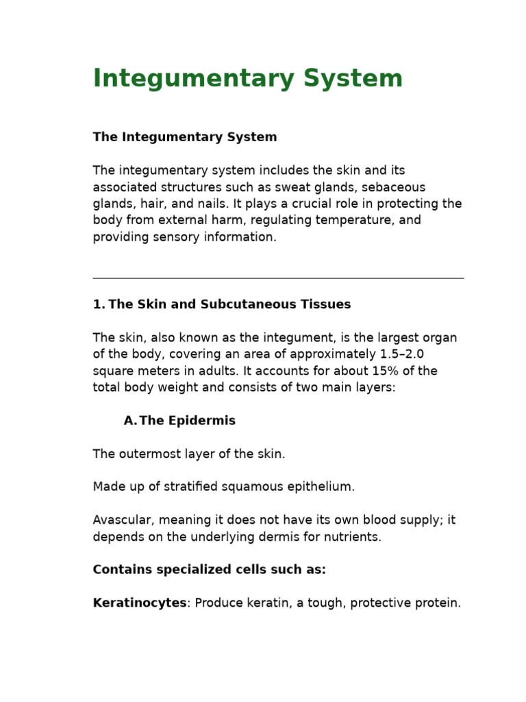 Integumentary System. (Skin) | PDF | Integumentary System | Skin