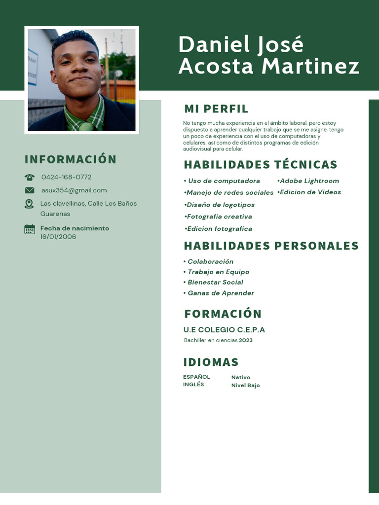 Currículum Daniel | PDF