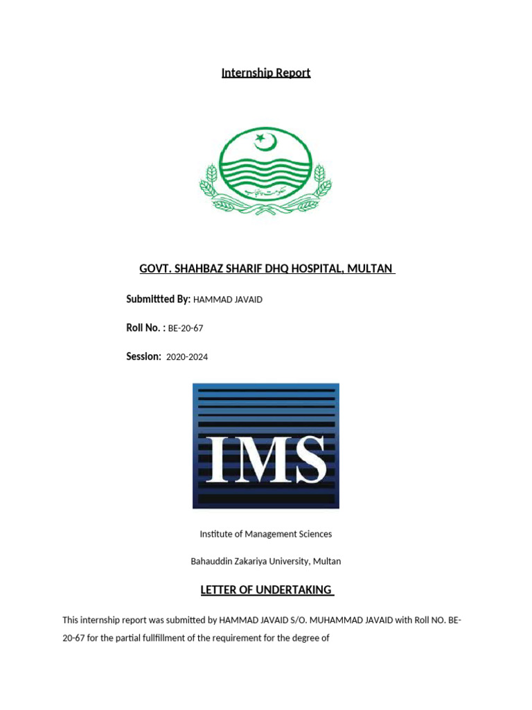 Hammad Javaid Internship Report | PDF | Microsoft Excel | Data Analysis
