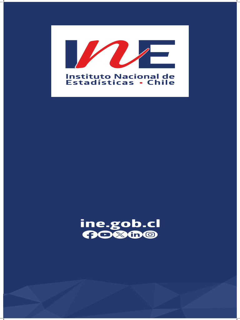 Imagen Pendon Institucional 80X200 2025 Final | PDF