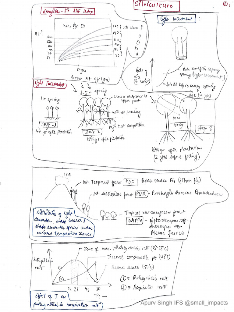 Forestry diagrams @small_impacts | PDF