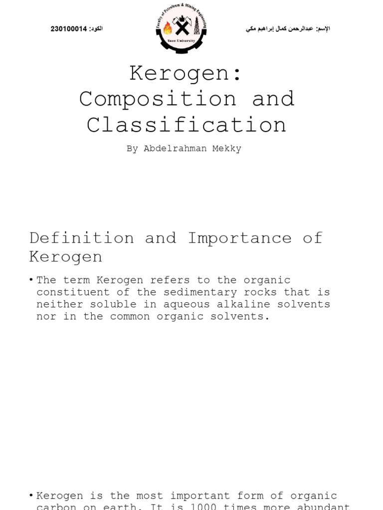 Understanding Kerogen Composition | PDF