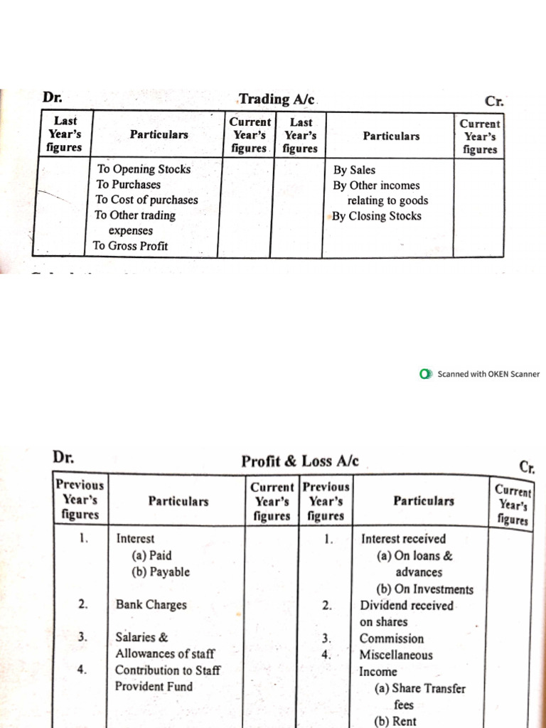 Format of Co-operative Societies Final Accounts | PDF
