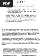 GR 10 11 Mat Nssco 6131 | PDF | Numbers | Real Number