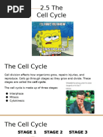 Mitosis Mover Webquest Bioman PDF | PDF | Mitosis | Chromosome