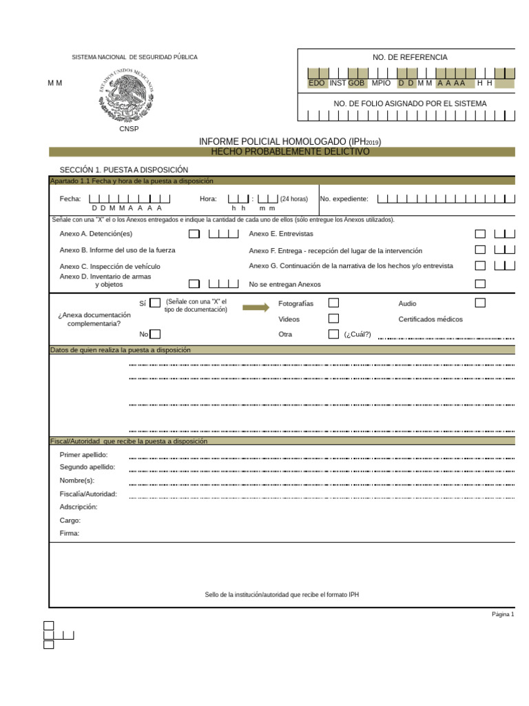 Informe Policial Homologado (IPH) 2019 | PDF | Queja | Gobierno