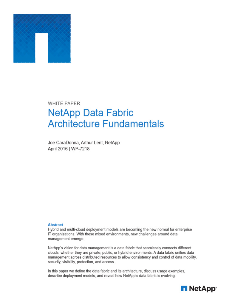 Netapp Datafabric Wp | PDF | Cloud Computing | Computer Architecture