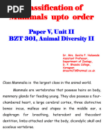 Rodent Skull Identification Guide | PDF | Tooth | Rodent