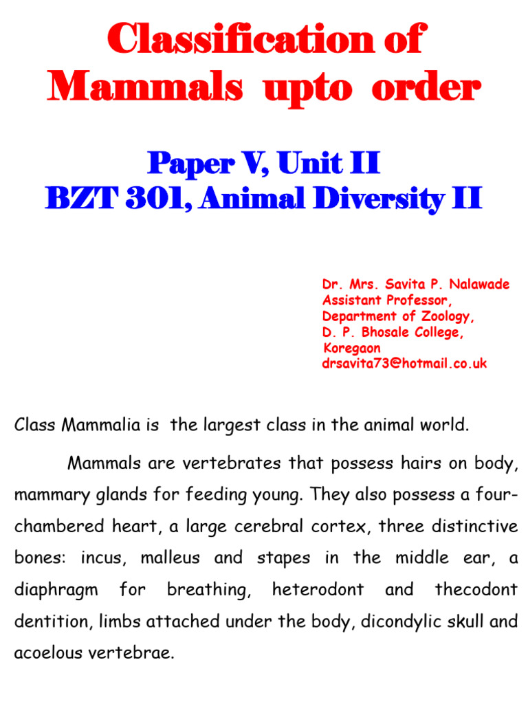 Classification of Mammals Overview | PDF | Marsupials | Mammals