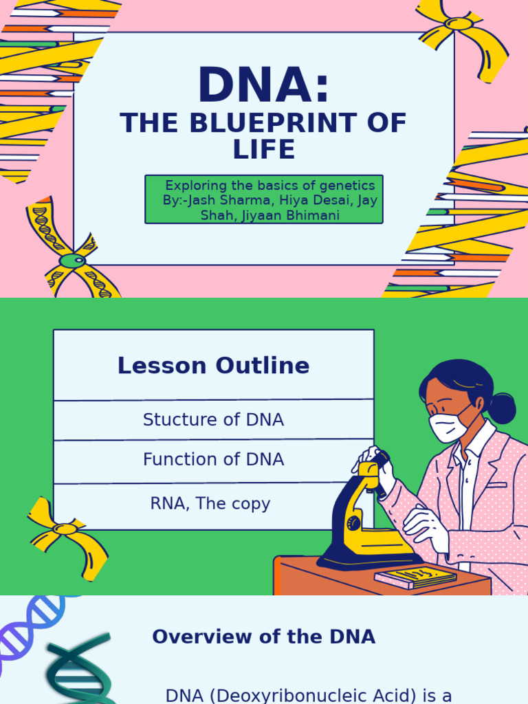 Structure and Function of DNA | PDF | Rna | Dna