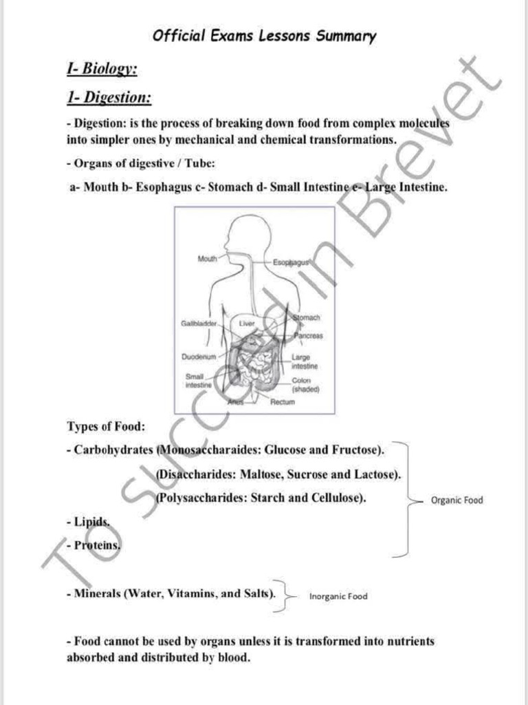 Biology Summary Grade 9 | PDF