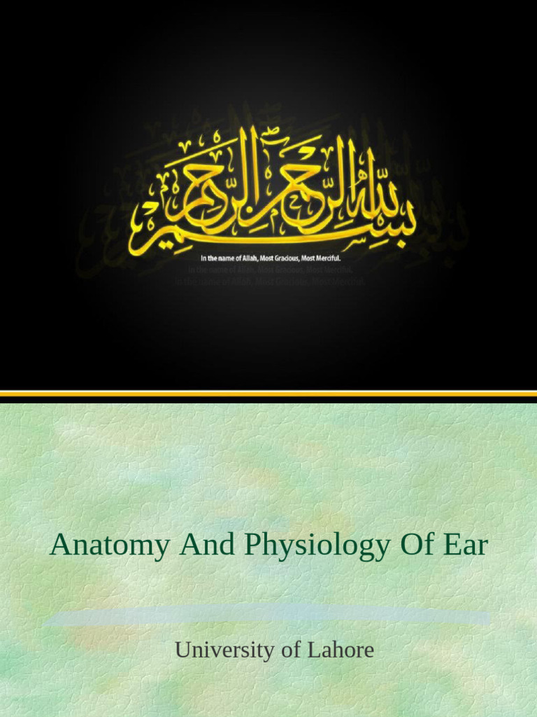 Anatomy and Physiology of Ear | PDF | Ear | Auditory System