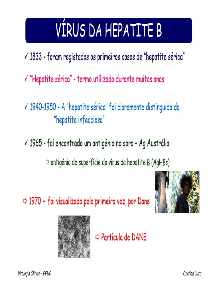 Estrutura e Ciclo do Vírus da Hepatite B | PDF | Hepatite B | Vírus