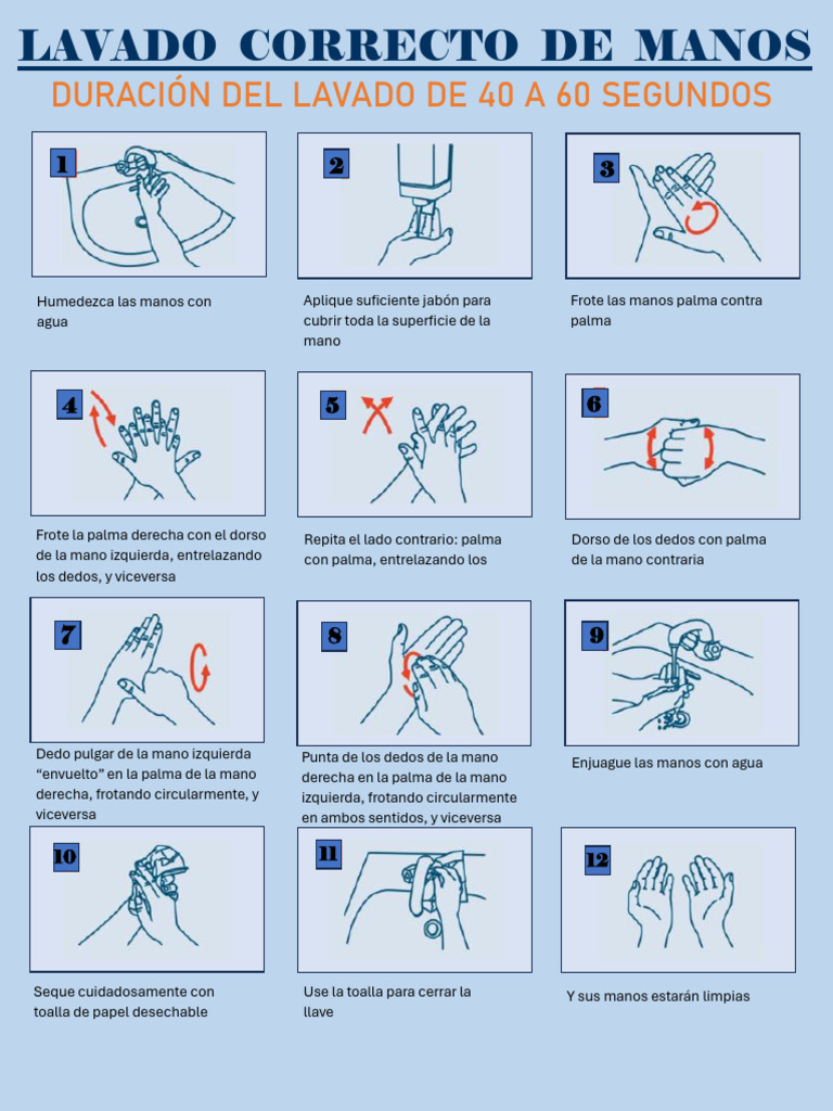 Infografía: Pasos para Lavado de Manos | PDF