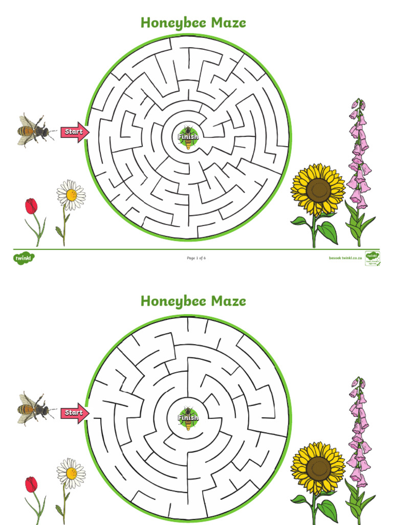 Za Kps 6 Honeybee Maze Activity Sheets Ver 1 | PDF
