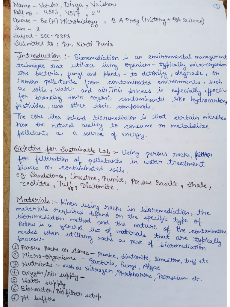 SEC Assignment | PDF