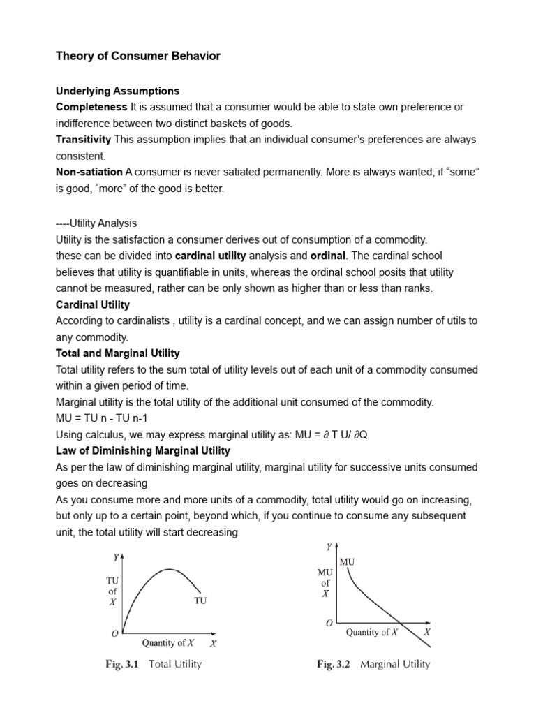 Theory of Consumer Behavior | PDF | Utility | Marginal Utility