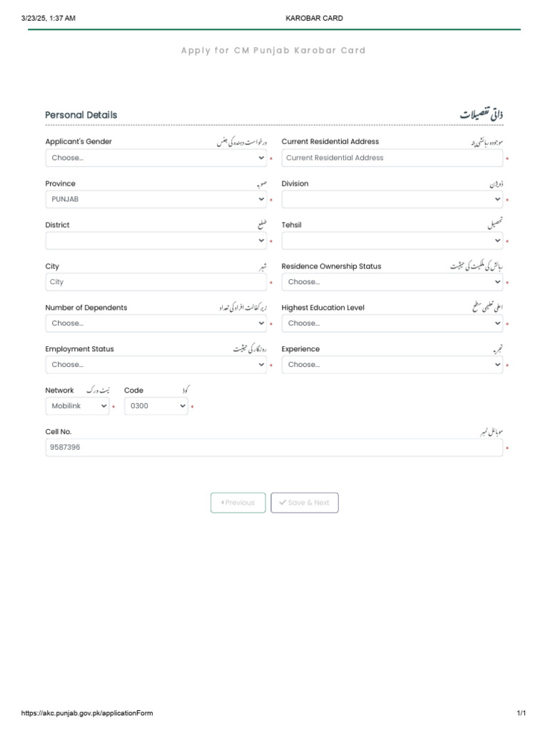 Karobar Card 1 | PDF