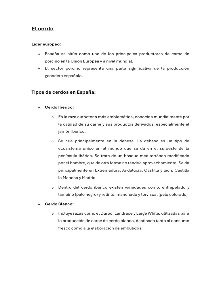 Oreja Frita: Delicia de Teruel | PDF | jamón | Menudencias