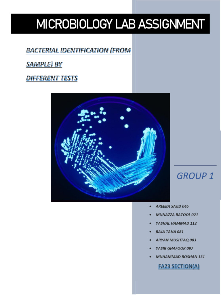 Bacterial Identification | PDF | Catalase | Bacteria