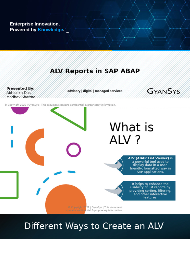 Alv Reports | PDF | Page Layout | Parameter (Computer Programming)