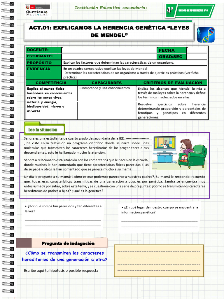 A-4º Act 1-Cyt-Und 6 | PDF | Dominancia (Genética) | Alelo