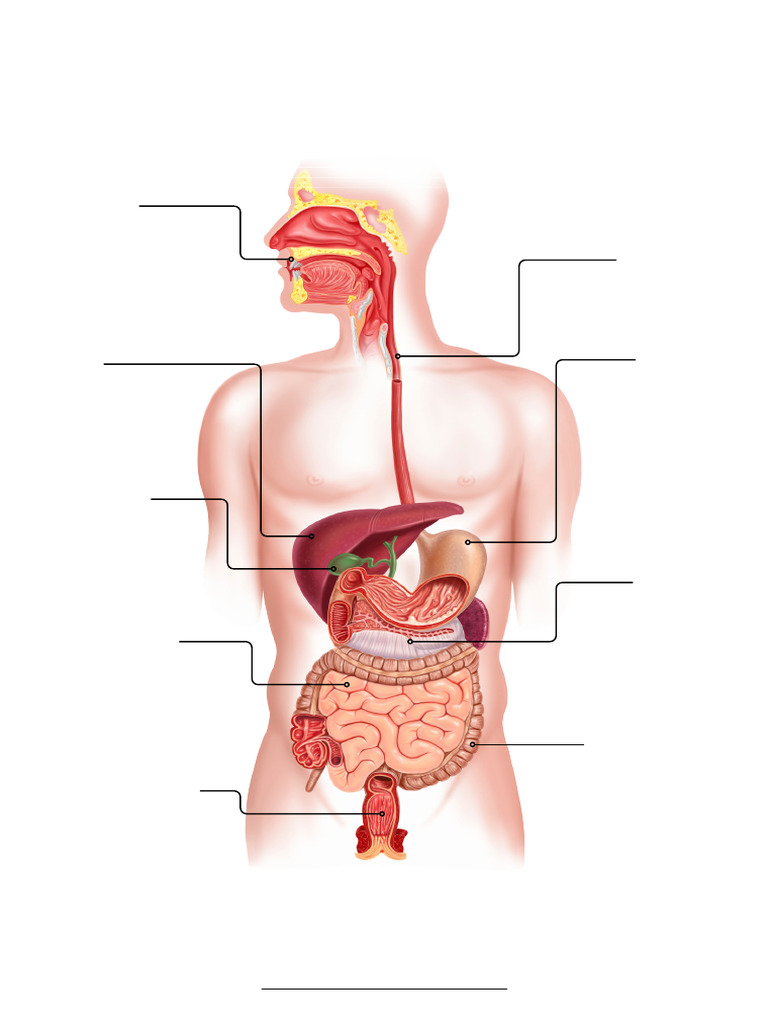 Httpscpiparquevenecia - Aeducar.espluginfile - Php23617mod Resourcecontent1poster20biologia PDF ...