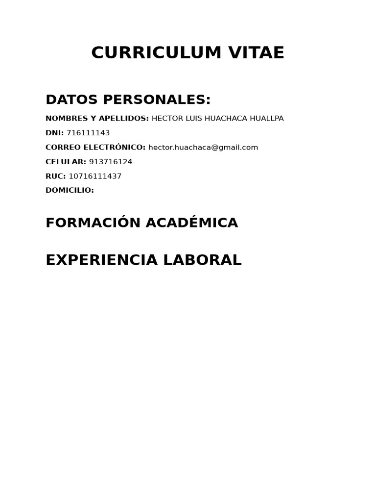 Curriculum Vitae - Hector Luis | PDF