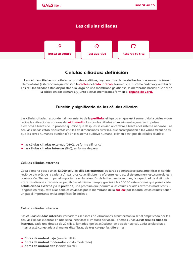 Células Ciliadas: Función y Pérdida Auditiva | PDF | Escuchando ...