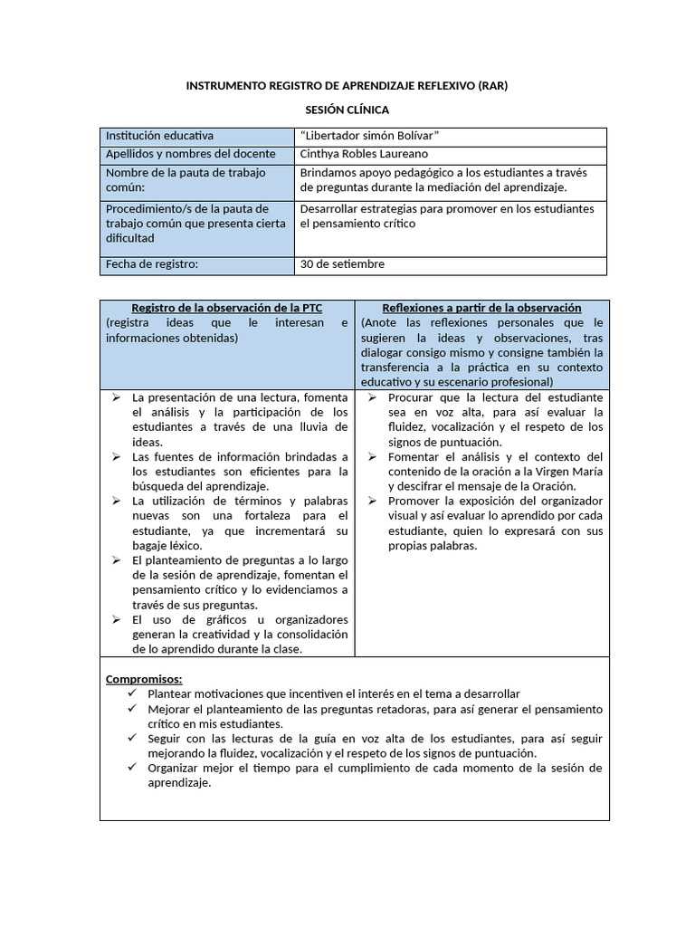 Instrumento Registro de Aprendizaje Reflexivo | PDF | Aprendizaje | Pedagogía
