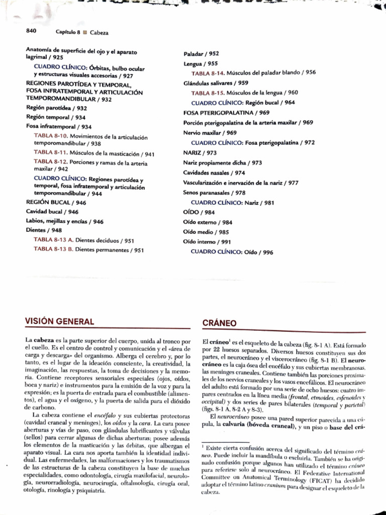 Osteo y Artro, Cabeza | PDF