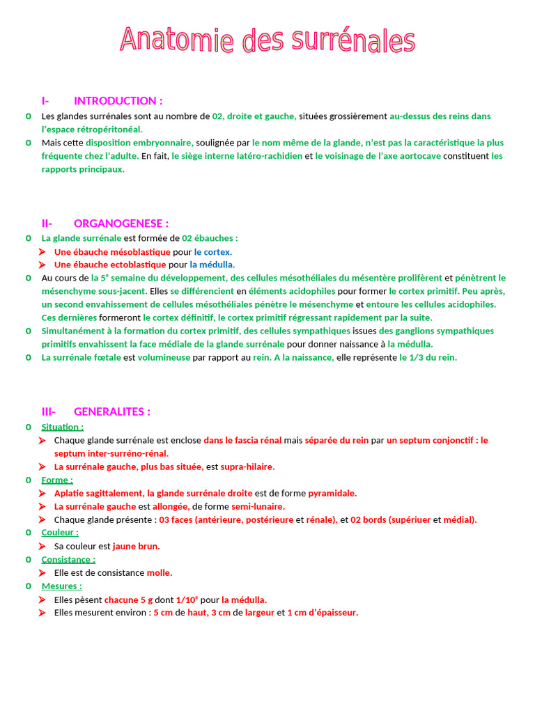 Anatomie de La Surrénale DEMS | PDF | Glande surrénale | Rein