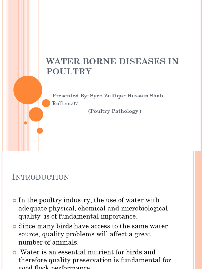 Water Borne Diseases in Poultry | PDF | Animal Diseases | Medical ...