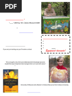 How To Bee by Bren Macdibble | PDF | Adjective