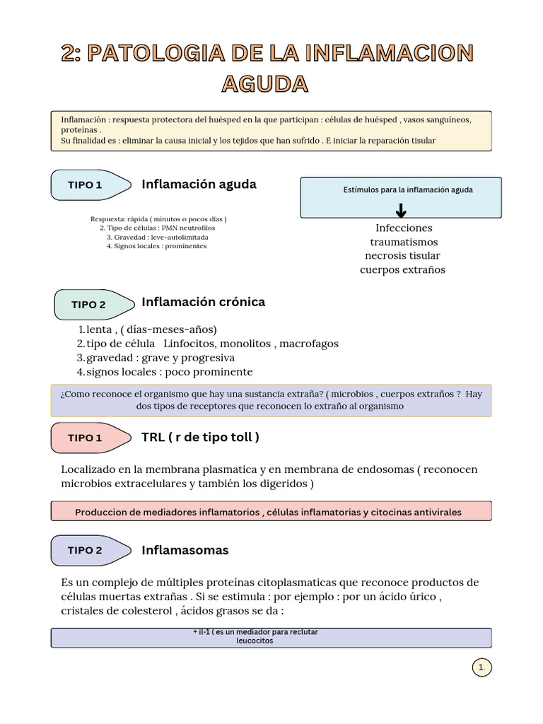 Balancing Chemical Equations Notes and Practice Problems Worksheet ...
