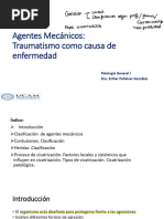 Medicina Legal - Agentes Contundentes y Lesiones (Der-204, Grupo A1) | PDF
