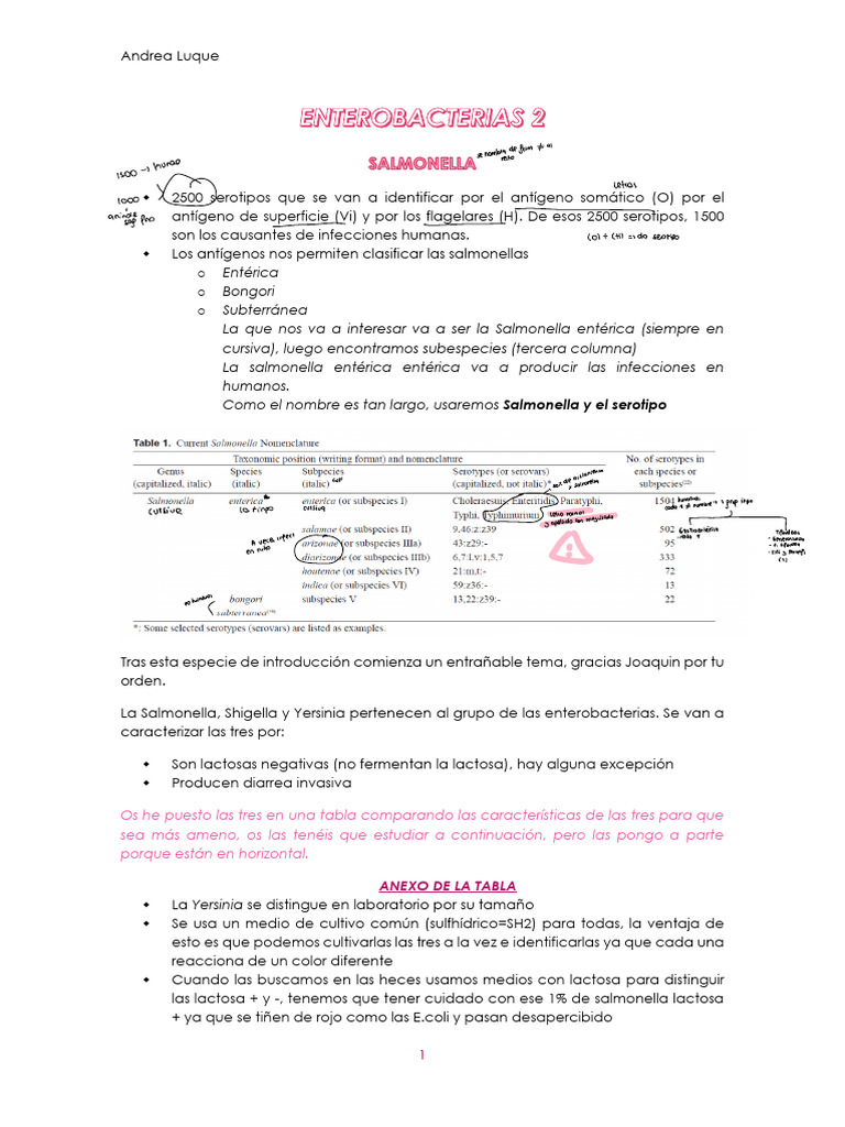 Enterobacterias 2 Parte PDF | PDF | Peste (enfermedad) | Salmonela