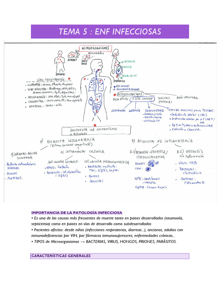 AP - Tema 5 Enf Infecciosas 2 | PDF | Virus | Inflamación