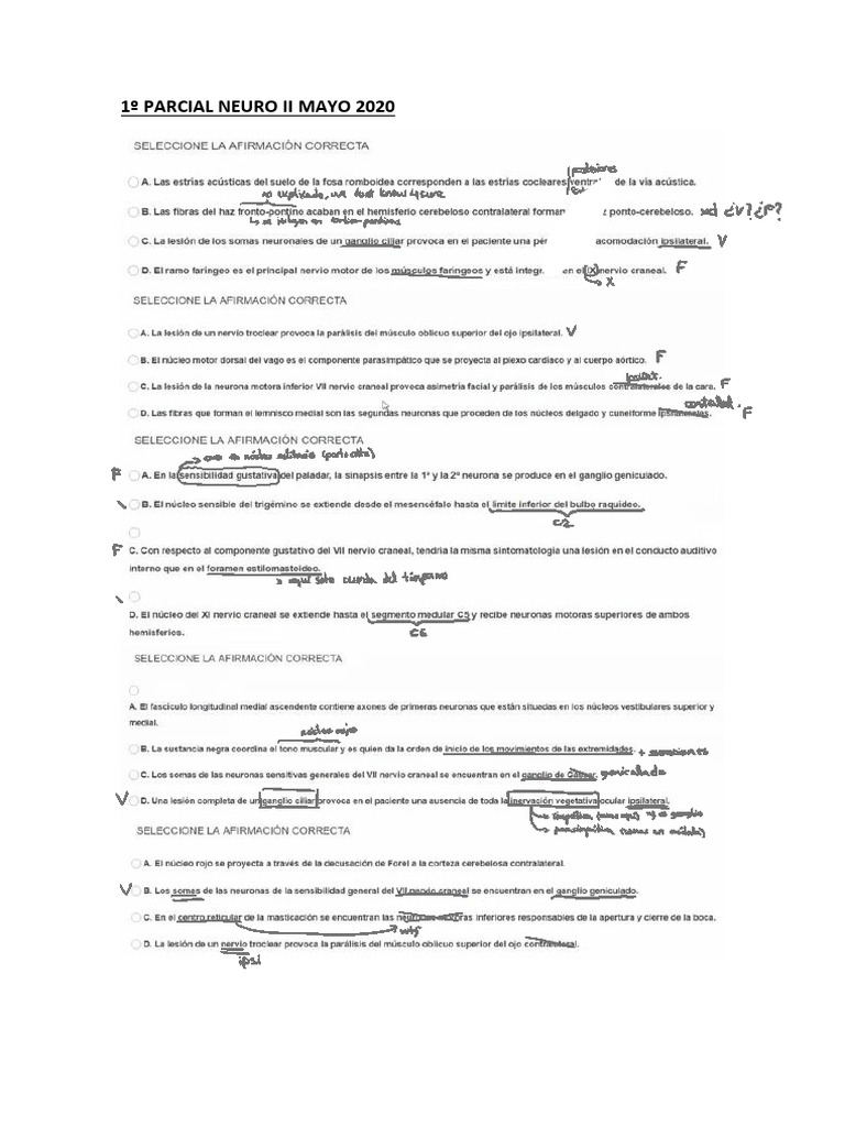 1º Parcial Neuro II Mayo 2020 Hecho | PDF