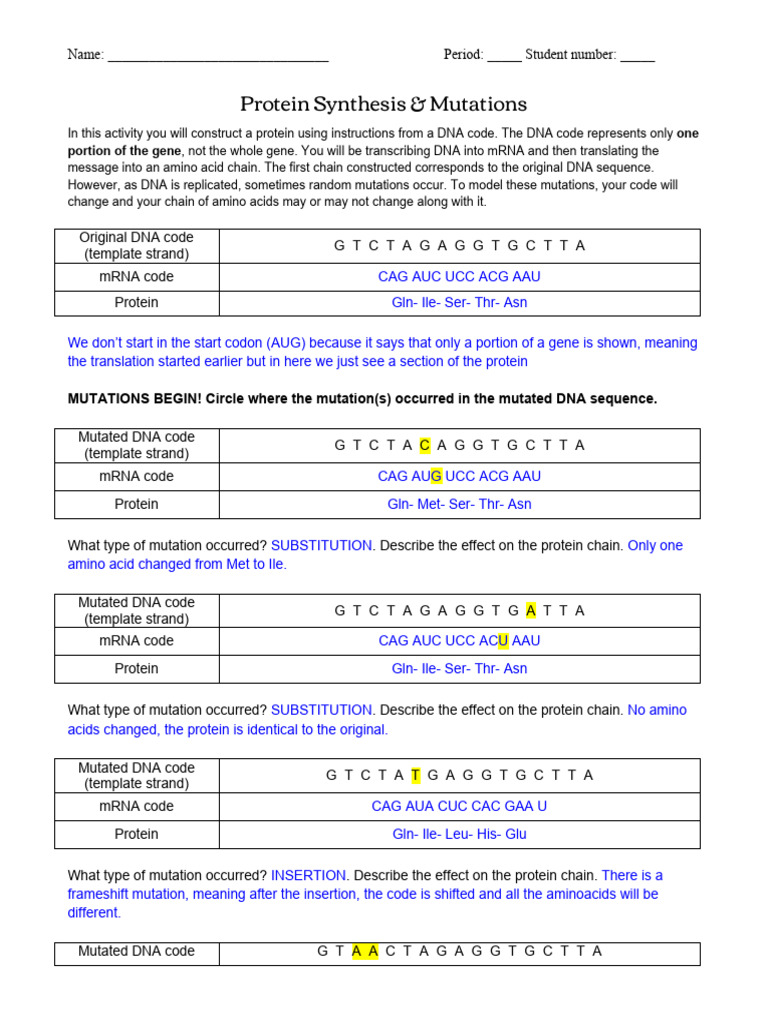 2024 06 06 Protein Synthesis & Mutations Answers | PDF | Genetic Code ...