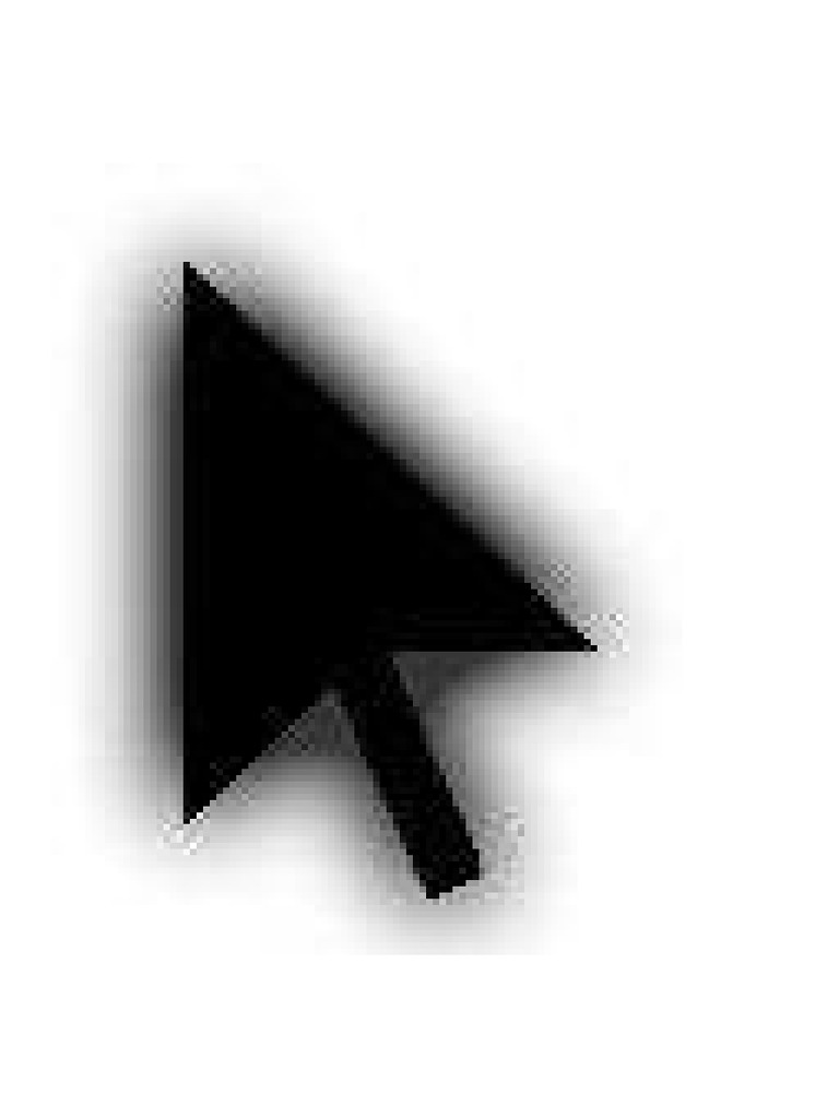 Cursor Black Bloom | PDF