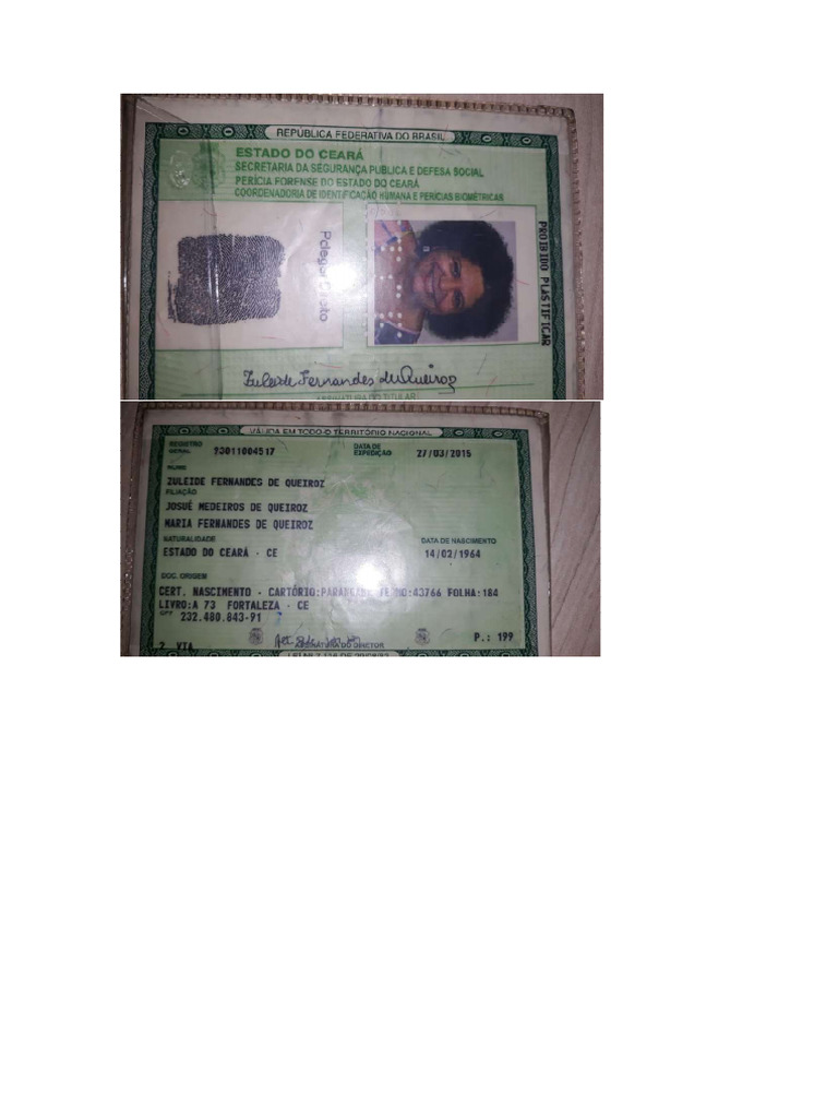 RG.pdf.zuleide (1) | PDF