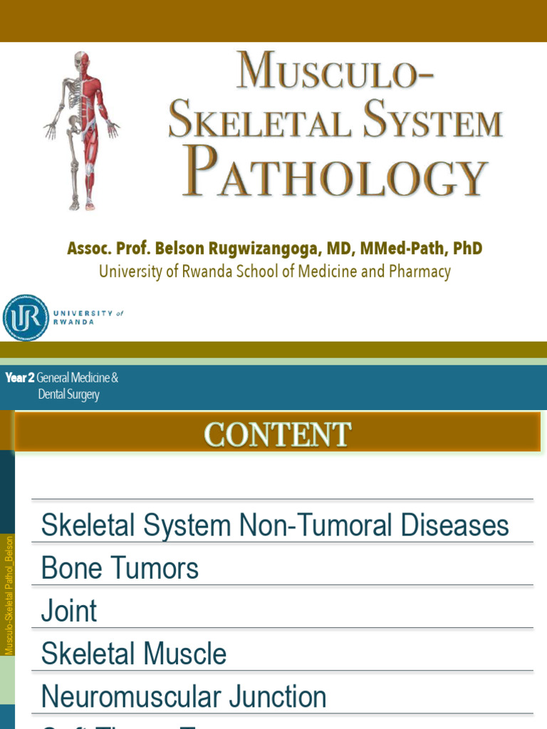 7. Musculoskeletal Pathology_2023-4_Assoc. Prof. Belson_compressed ...