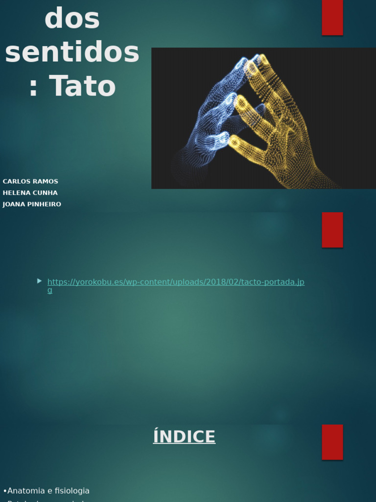 Anatomia e Fisiologia do Tato | PDF