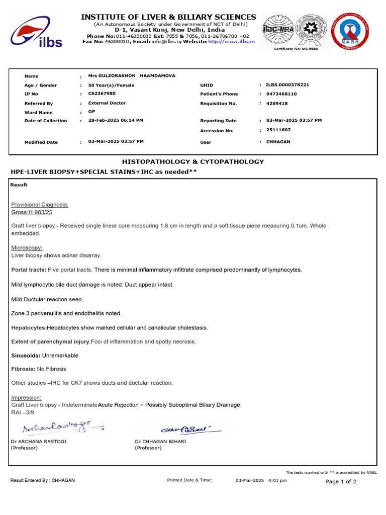 Graft Liver Biopsy Report Summary | PDF | Liver | Diseases And Disorders