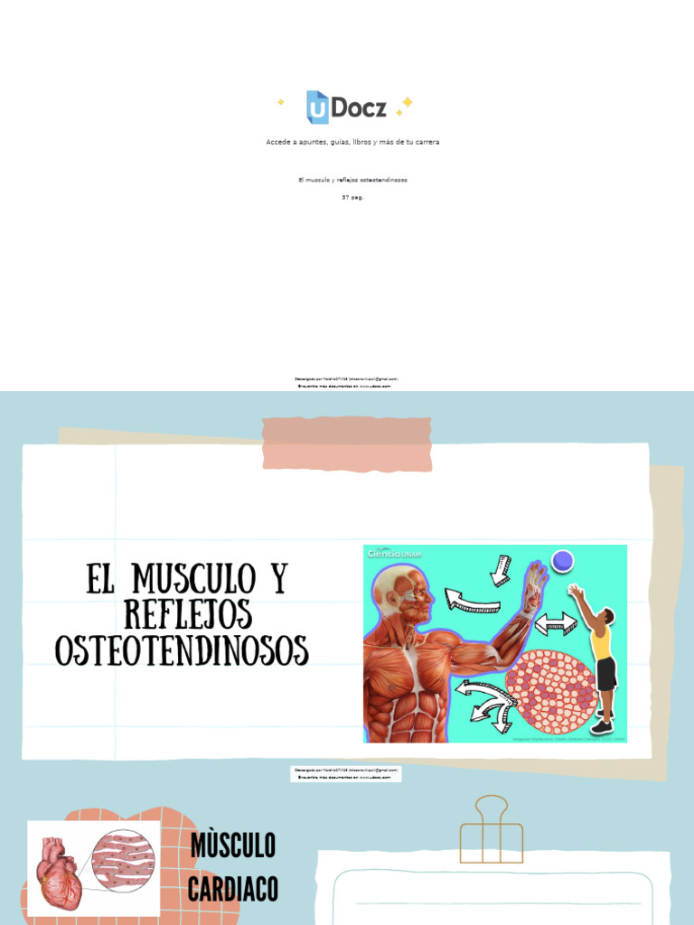 El Musculo y Reflejo 528121 Downloadable 1049383 | PDF | Contracción ...